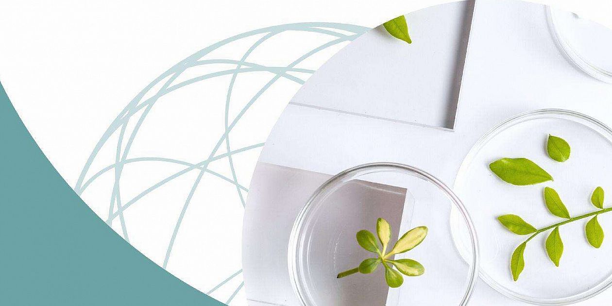 BRIN: The Indonesian Research and Innovation Authority in Transition ...