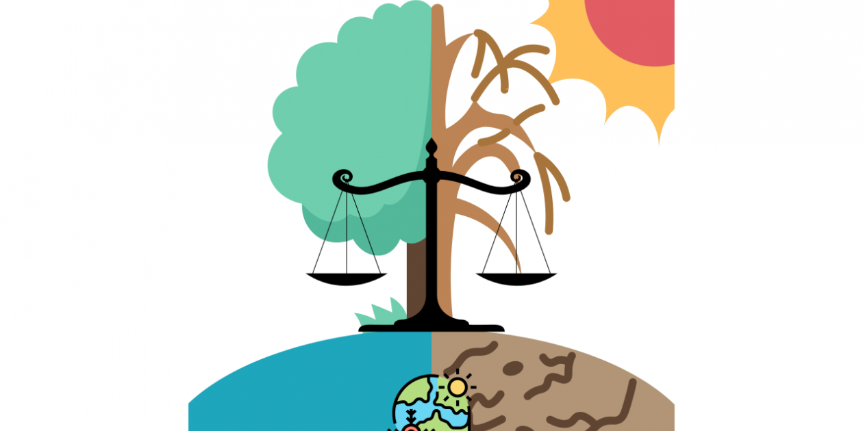 MCFA Seminar Series: Climate change law and the International Court of ...