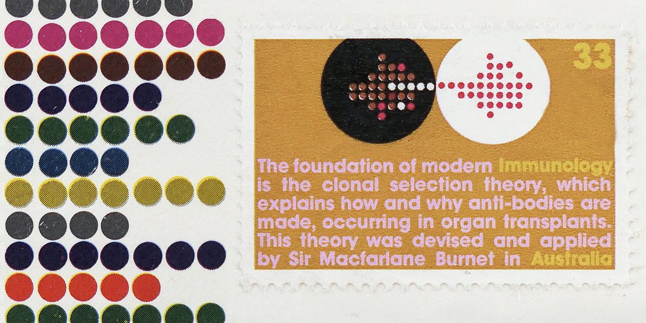 Collection Pop-Up: Archives / Events