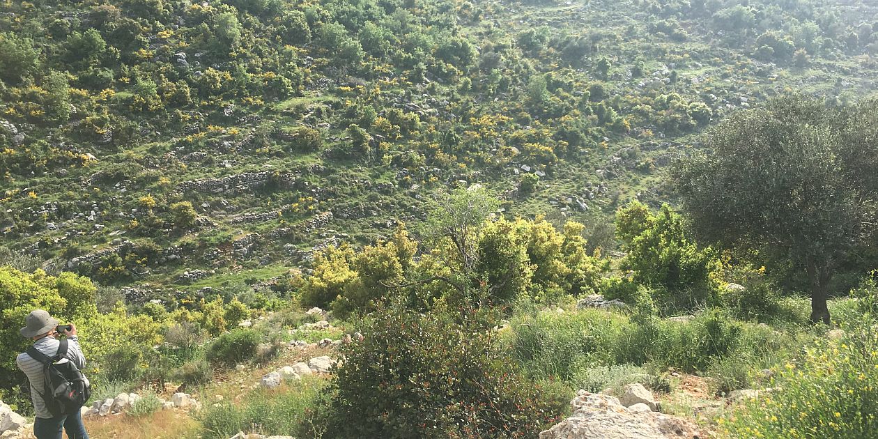 Climate crisis adaptation in Palestine / Events