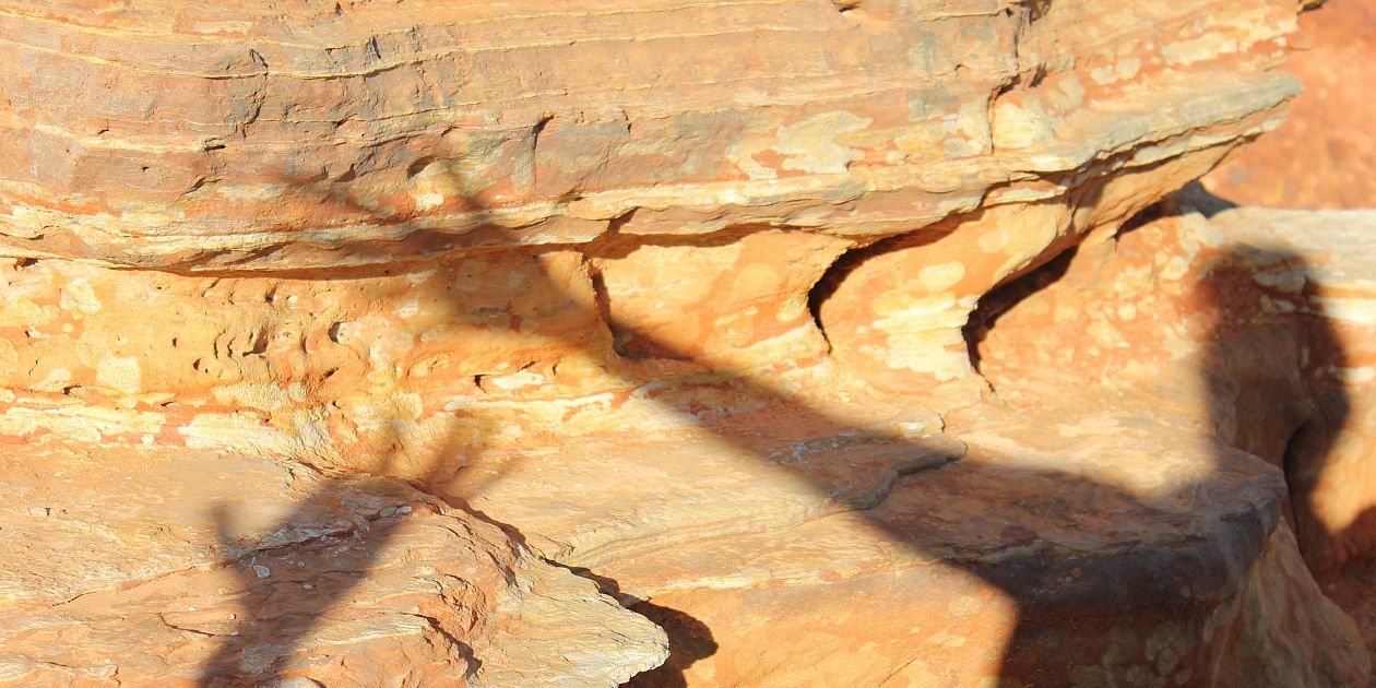 Generative Dancing: Place-Based Corporeal Activisms / Events