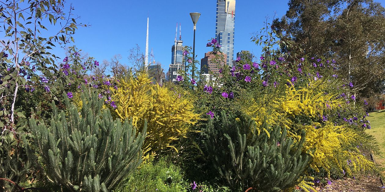 How plants made our world and can save it! / Events