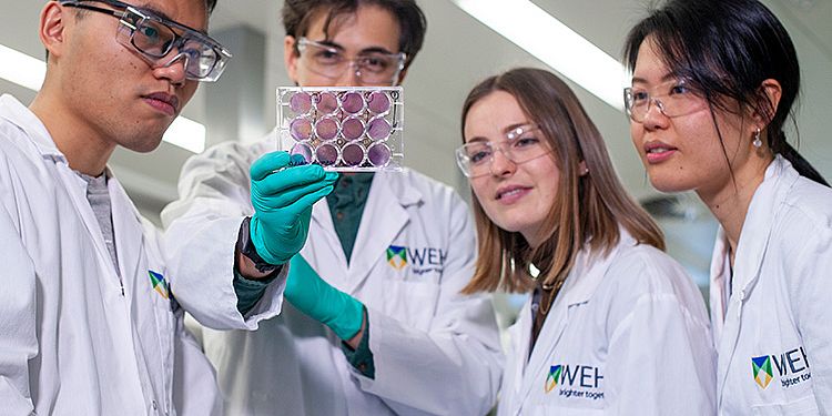 A Glimpse into WEHI Student Life 2023 / Events